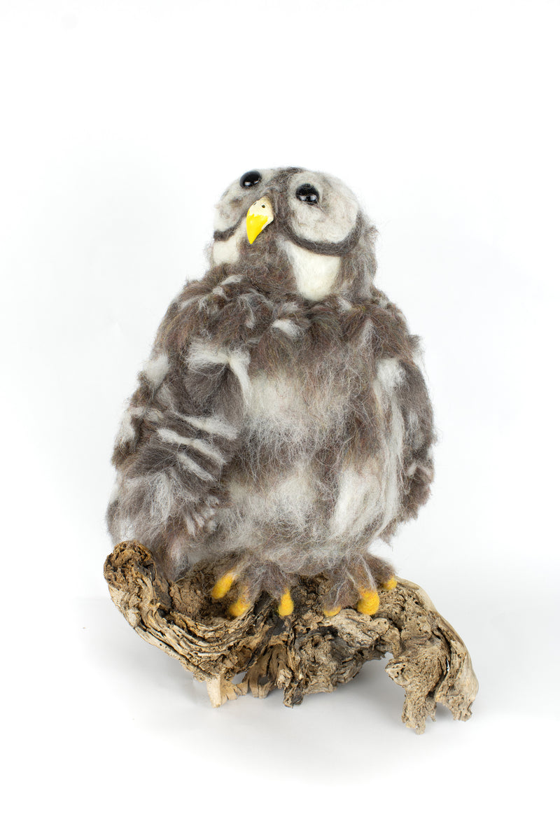 Jill Reedy, "Owl" – Interact Gallery
