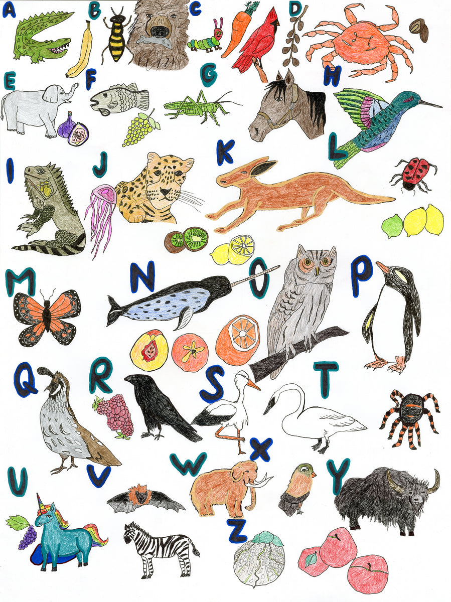 Kate Gillespie, "The Alphabet Reborn" – Interact Gallery