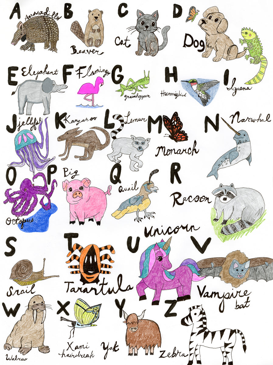 Kate Gillespie, "Untitled (Illustrated Alphabet)" – Interact Gallery