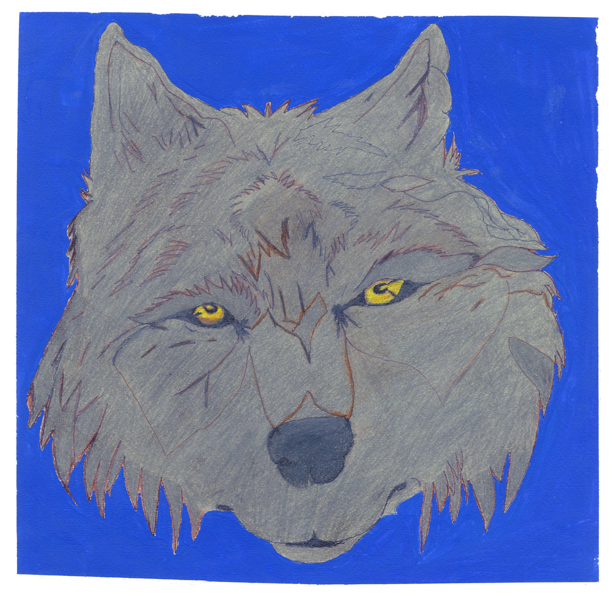 Daniel Metchnek, "Wolf" – Interact Gallery