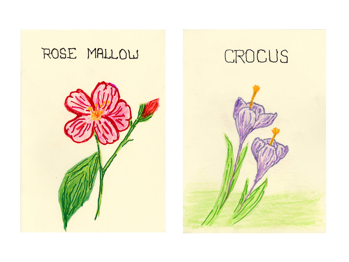 Ingrid Hansen, Set of 2 Cards – Interact Gallery