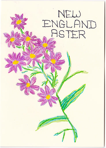 Ingrid Hansen, Set of 6 Cards – Interact Gallery