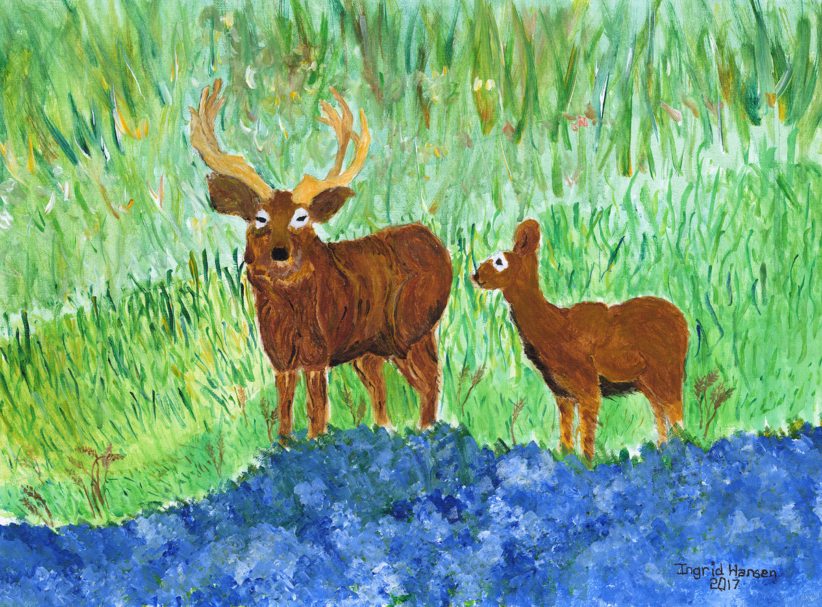 Ingrid Hansen, "Thirsty Deer" – Interact Gallery